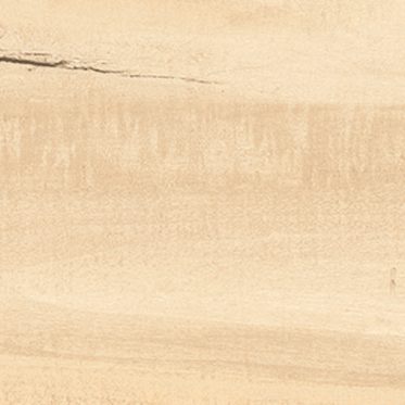 Oak Wood Wooden Tile Series By Lavish Ceramics (Wall & Floor Tiles)