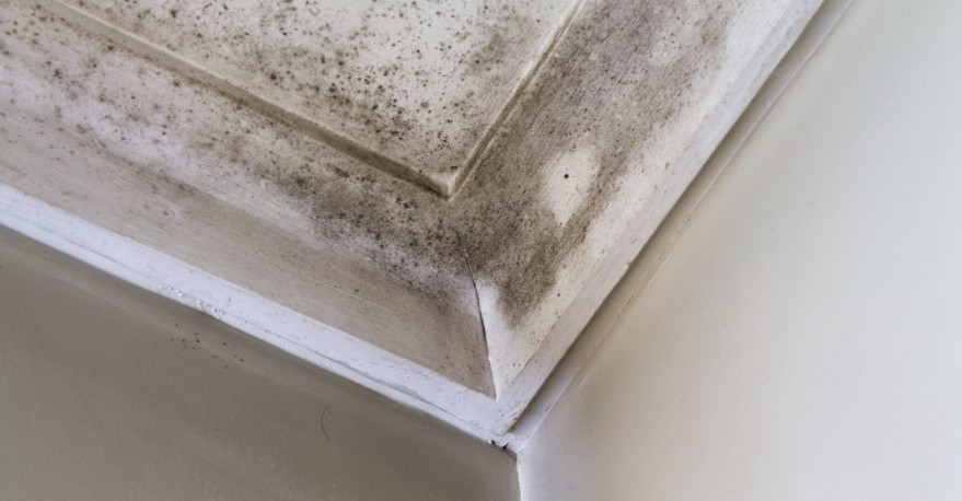 5 Main Causes of Damp in Bathroom Walls - Lavish Ceramics
